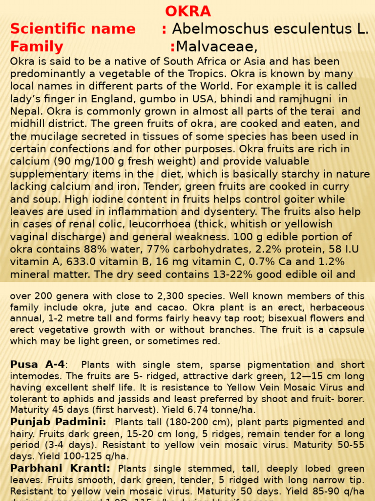 Okra Cultivation and Varieties Guide | PDF | Sowing | Plough