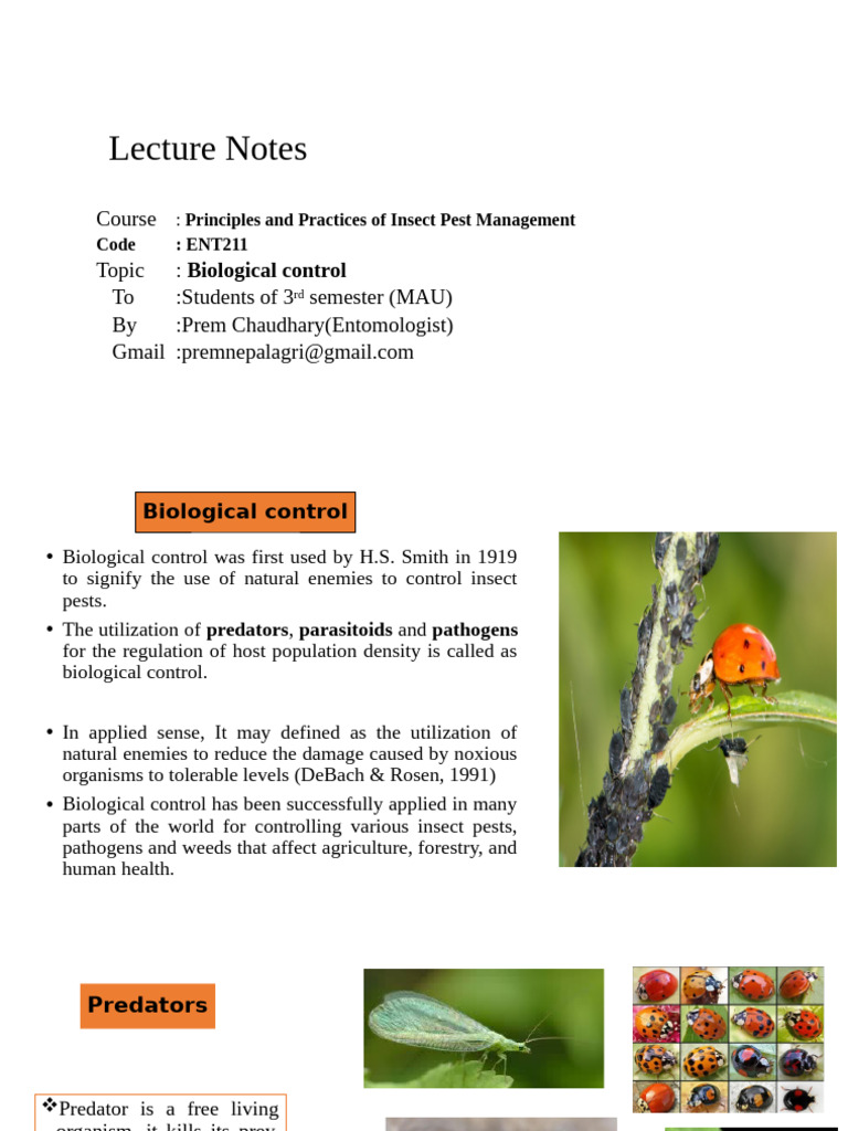 Role of Blaesoziphae kellyi in IPM | PDF | Biological Pest Control ...
