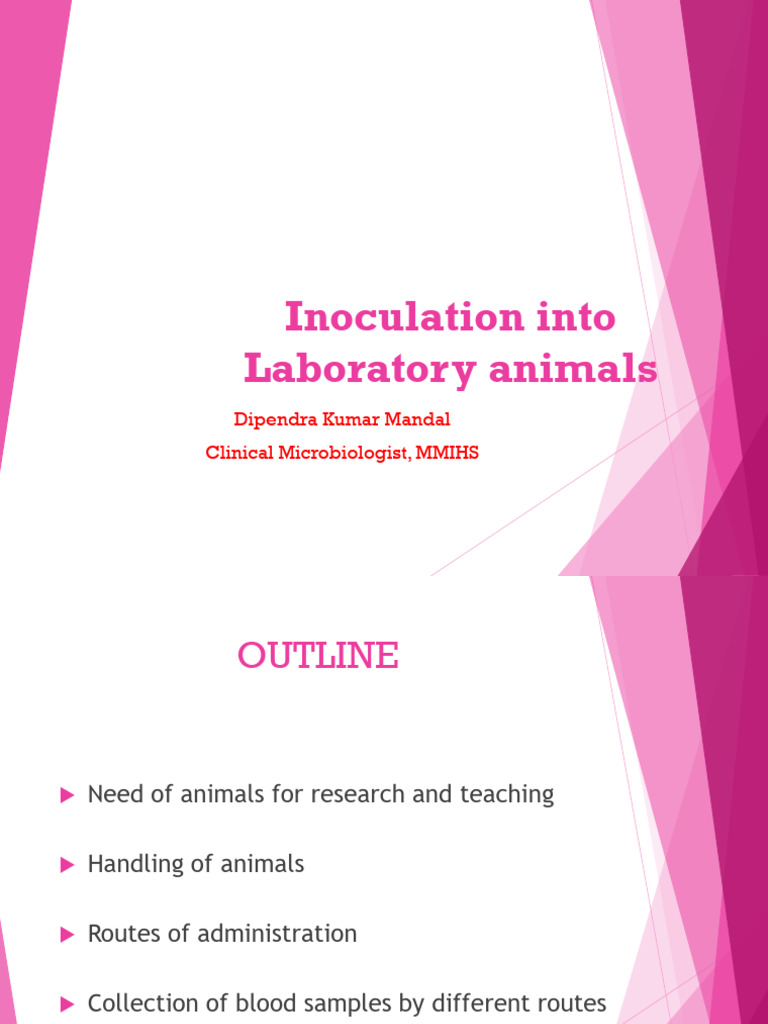 Animal Inoculation - 4th Year | PDF | Animal Testing | Autopsy