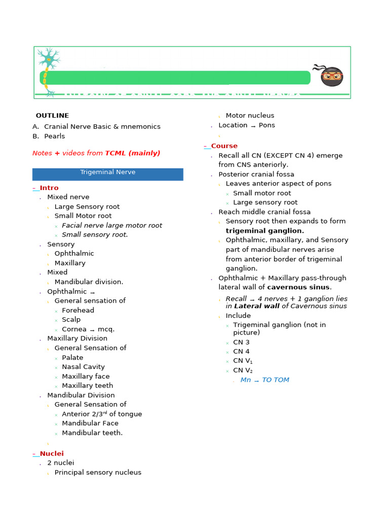 CN 5 | PDF | Human Head And Neck | Human Anatomy