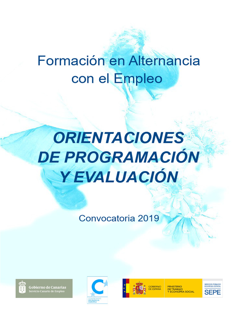Orientaciones Programación y Evaluación PFAE 2019 | PDF | Evaluación | Titulo academico