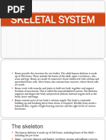 Skeletal System 206 Bones Comprehensive List | PDF | Skull ...