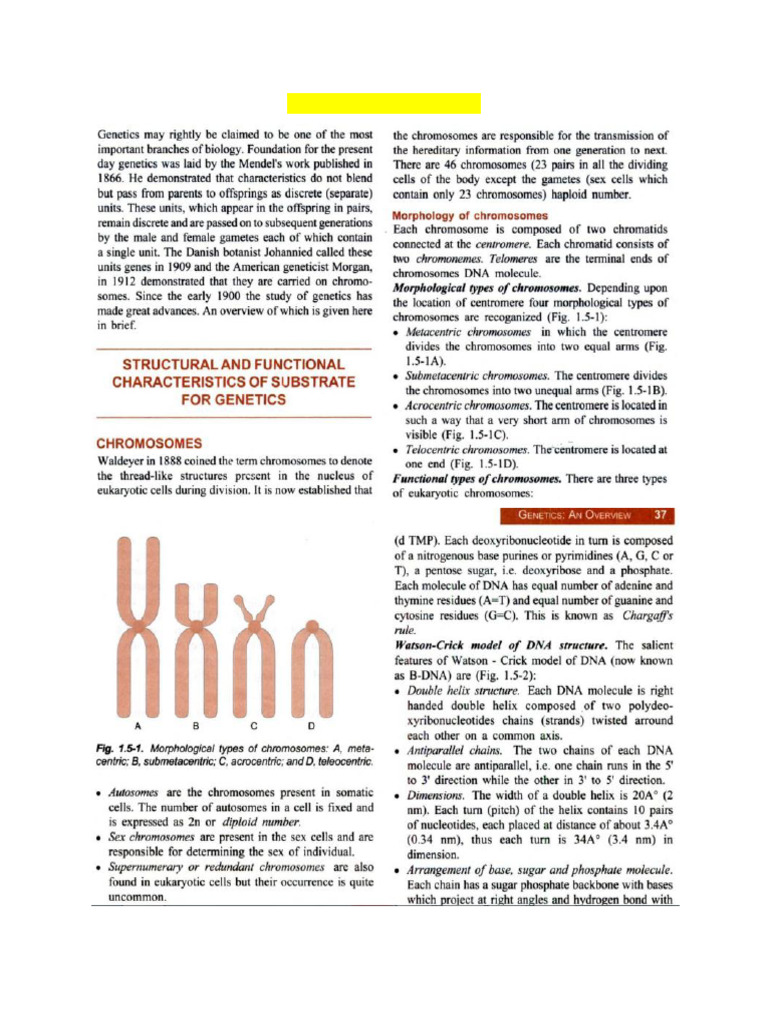 Genetics OVERVIEW | PDF
