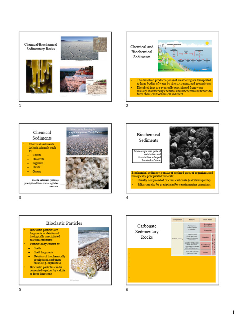 7c 1303Sedimentary3Slides | PDF | Limestone | Sedimentary Rock
