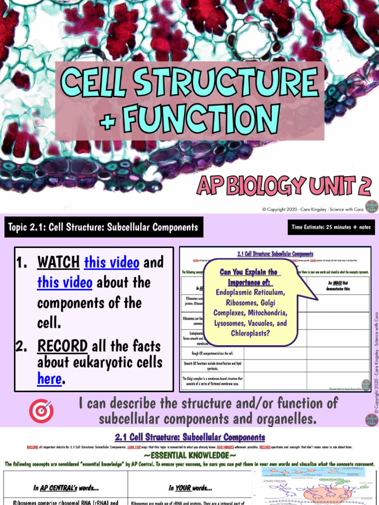 DINB Unit 2 | PDF | Cell Membrane | Endoplasmic Reticulum