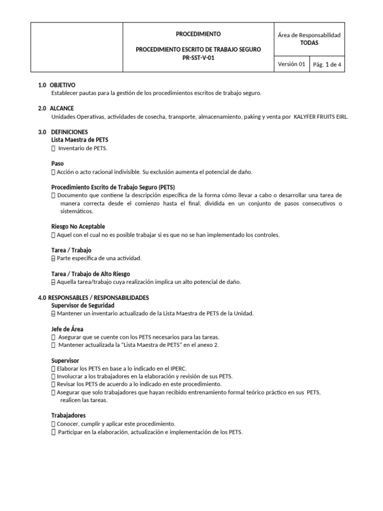 Pr. Procedimiento para Trabajo Seguro | PDF