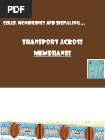 Amoeba Sisters Video Recap | PDF | Cell Membrane | Cell (Biology)