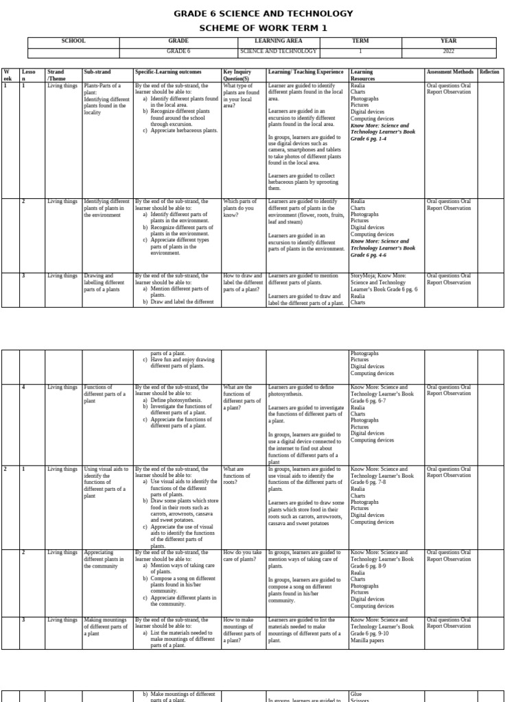 Grade 6 Term 1 Science Technology Schemes | PDF | Learning | Root