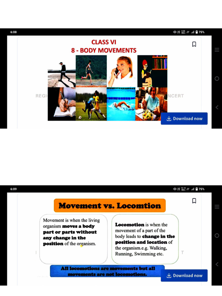 Body Movement | PDF