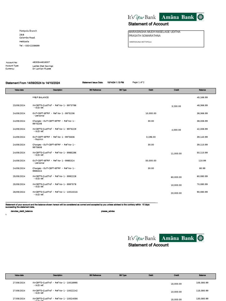 Account Statement | PDF | Debits And Credits | Banking