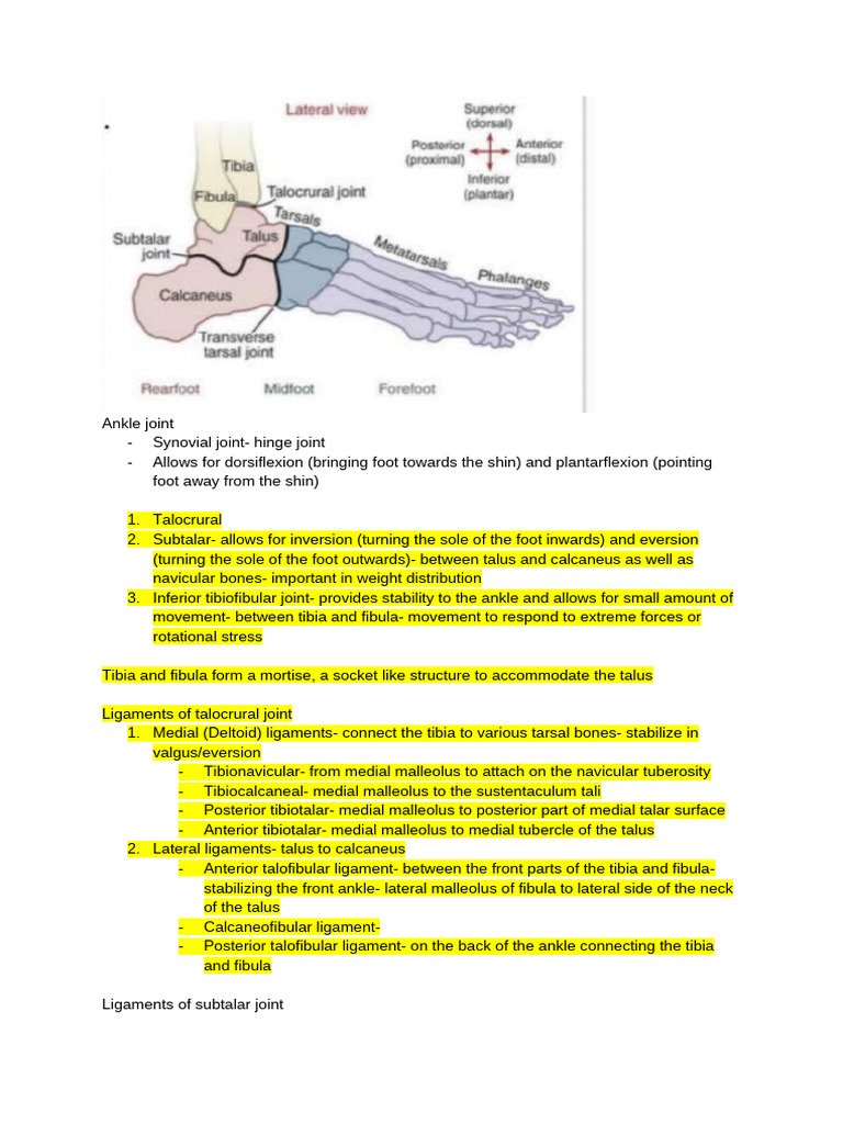 Ankle joint- physical examination | PDF | Ankle | Foot