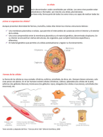 Celula Actividad para Completar | PDF