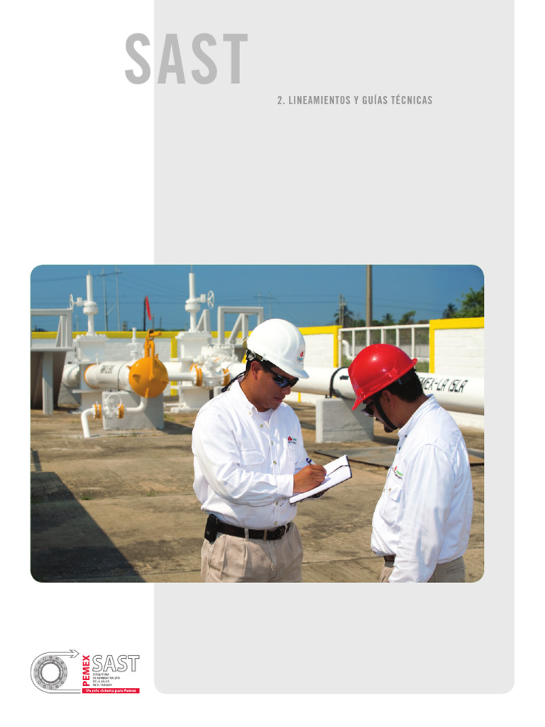 Lineamientos y Guias Tecnicas SAST (Todos Los Elementos)-2 | PDF ...