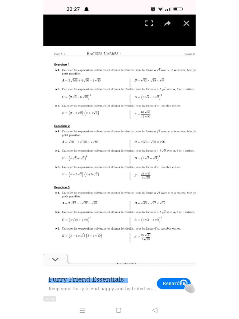 Exercise Du Racine Caré | PDF