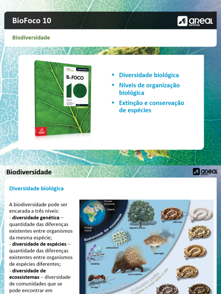 Ae bg10 B PPT Biodiversidade | PDF | Ecossistema | Plantas