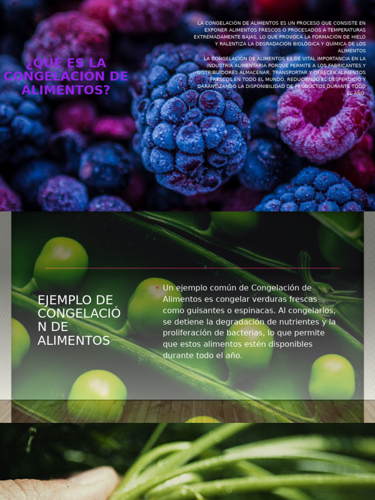 Congelación de Alimentos: Proceso y Beneficios | PDF | Agua | Alimentos