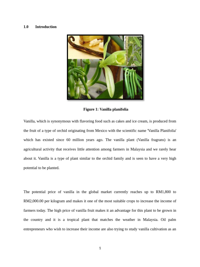 Vanilla Final Writing | PDF | Vanilla | Agriculture