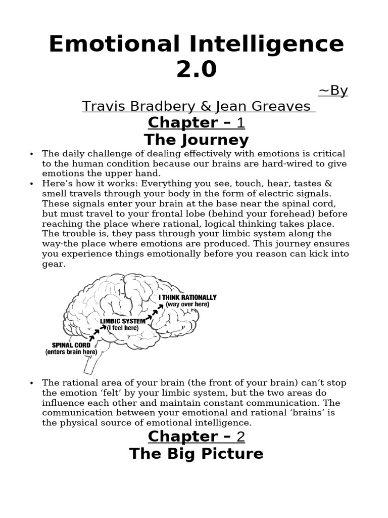 Emotional Intelligence 2.0 | PDF | Emotions | Emotional Intelligence