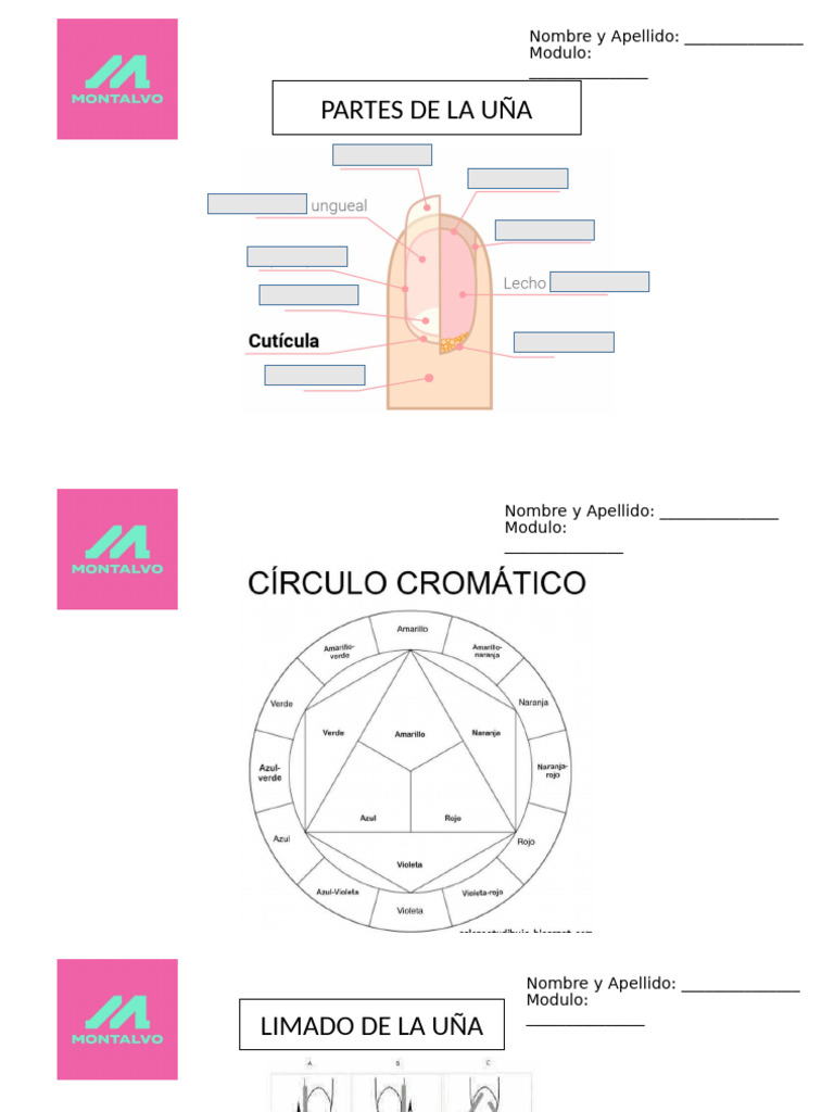 Modulo 1 - Practicas | PDF
