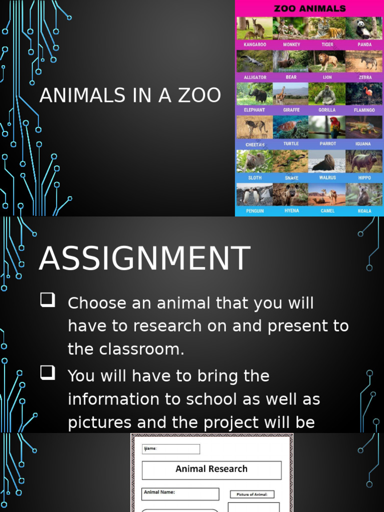 Project On Animals | PDF | Home & Garden | Art