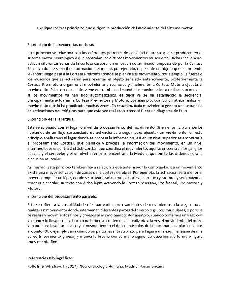 Explique Los Tres Principios Que Dirigen La Producción Del Movimiento ...