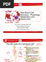 Red Blood Cell Diagram | PDF | Red Blood Cell | Blood