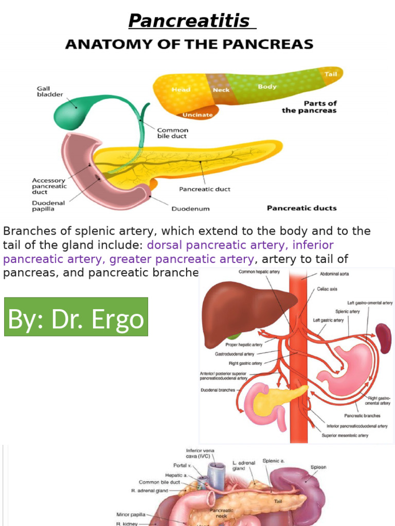 Pancreatitis | PDF | Pancreas | Diseases And Disorders