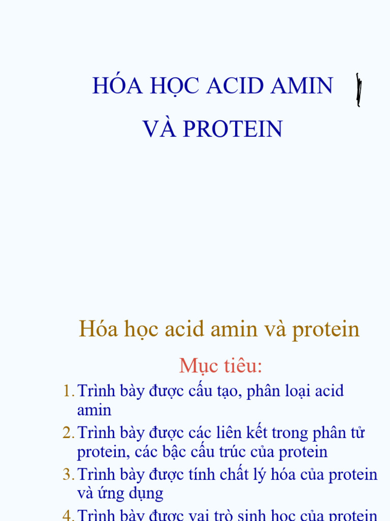HH Aa Va Protein Edited | PDF