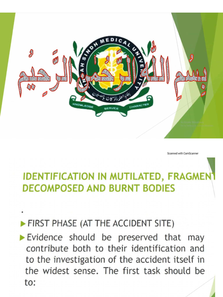 Personal Identity IV | PDF