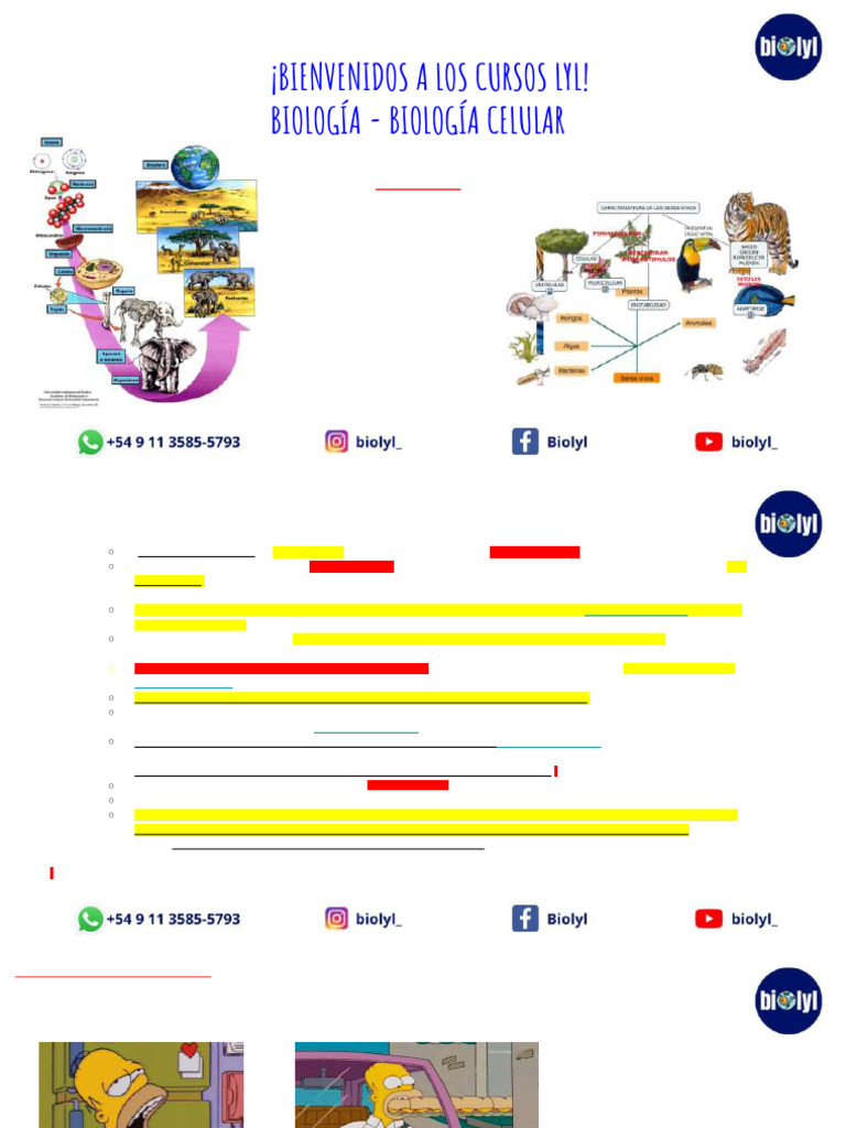 1-Características de Los Seres Vivos. Niveles de Organización de La ...