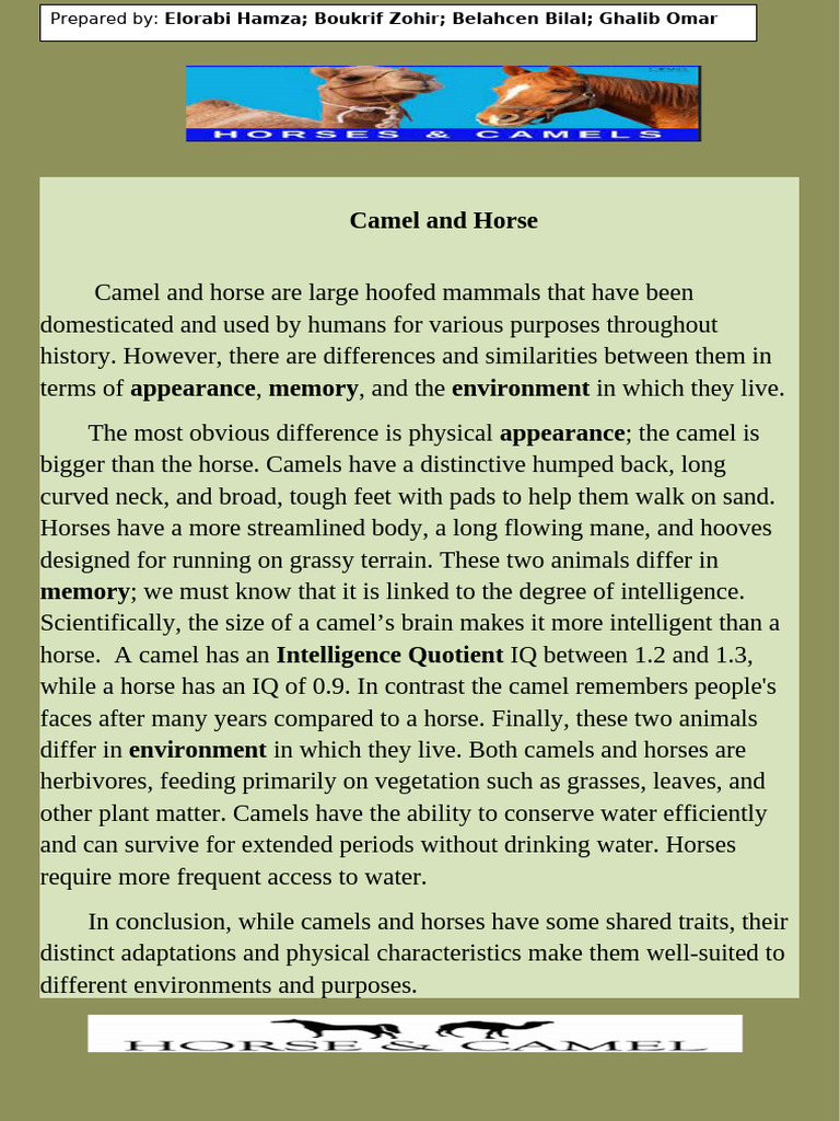 Homework | PDF | Horses | Camel