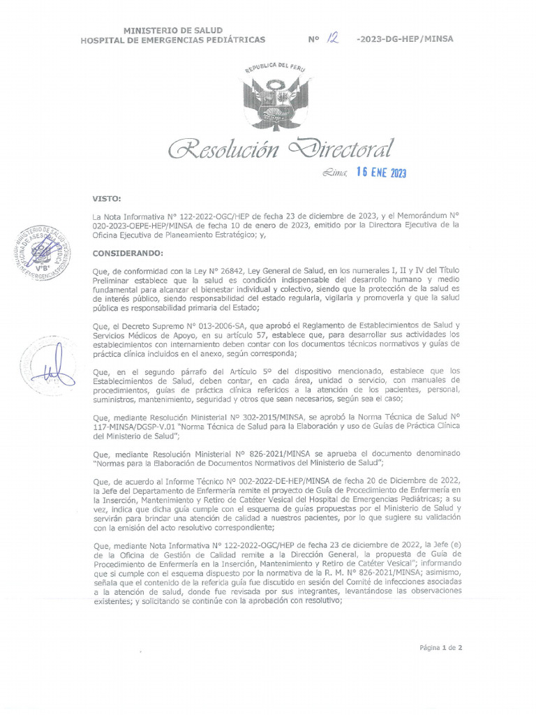 Sondaje Vesical - Minsa | PDF