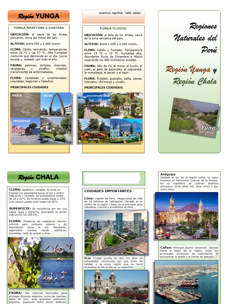 Región Yunga y Chala - Tríptico | PDF