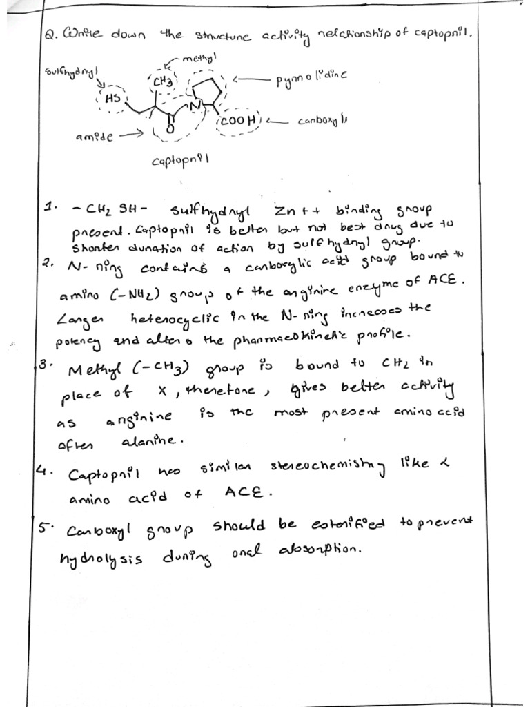 Med Chem Assignment | PDF