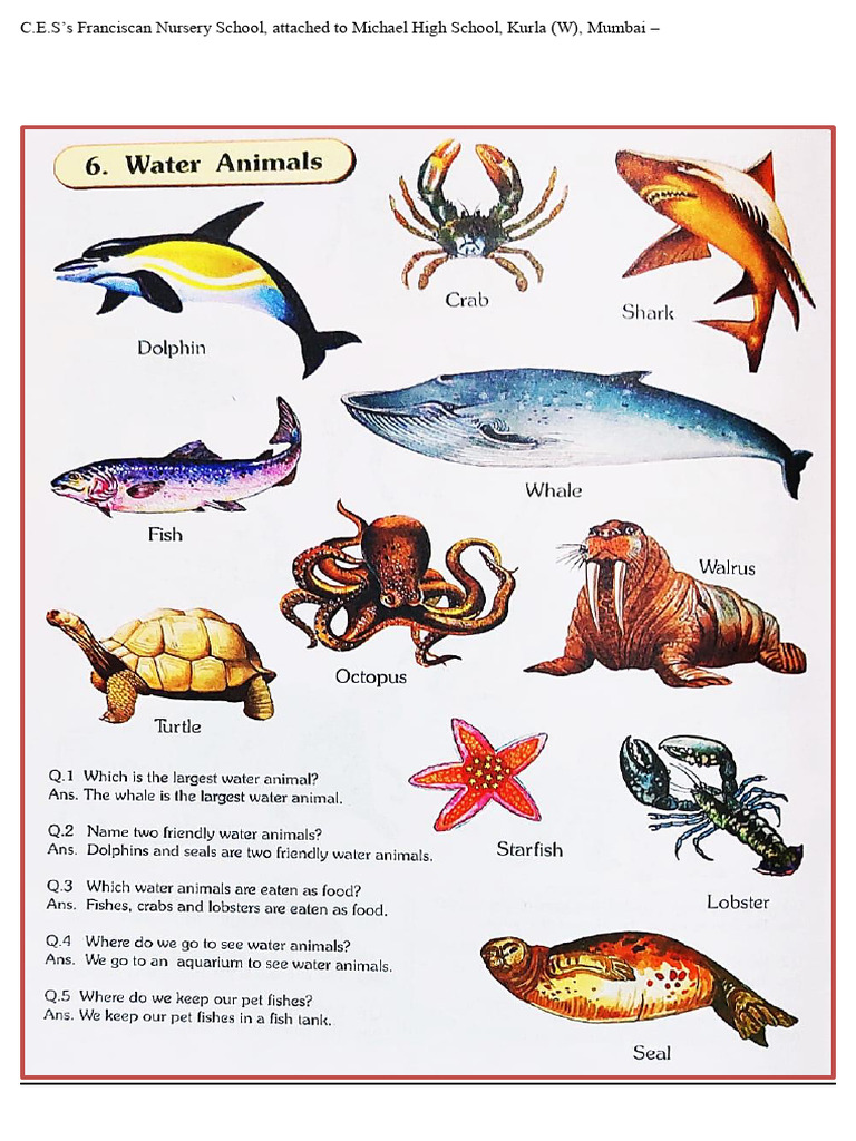 Sn KG EVS Worksheet 1 | PDF