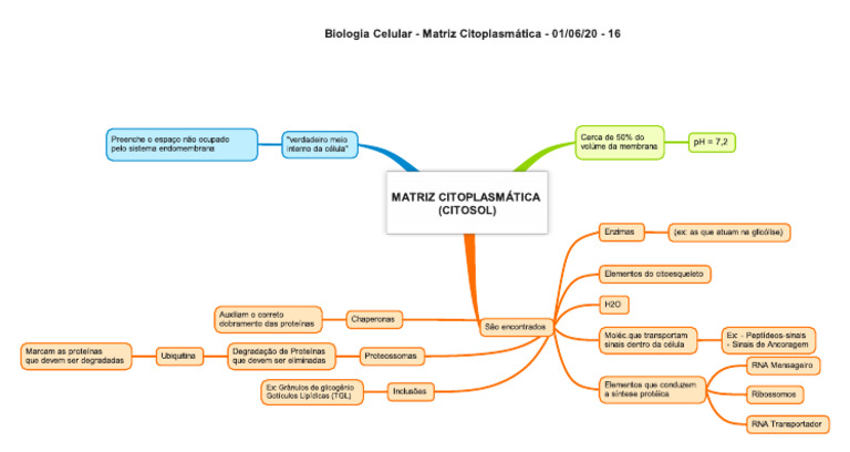 16 Matriz Citoplasmática (Citosol) | PDF