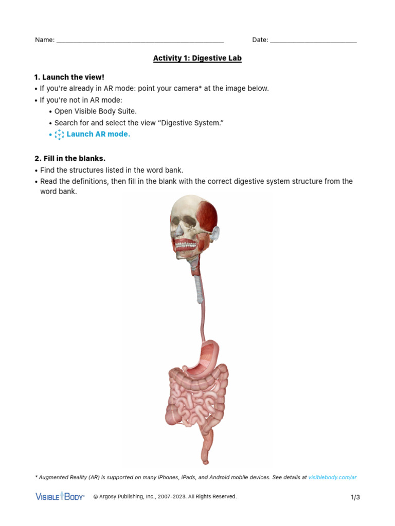 Lab Manual Digestion English Student Fill In | PDF | Human Digestive ...
