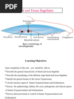 Cell Biology of Leishmania: Dr. Anuradha Dube Division of Parasitology ...