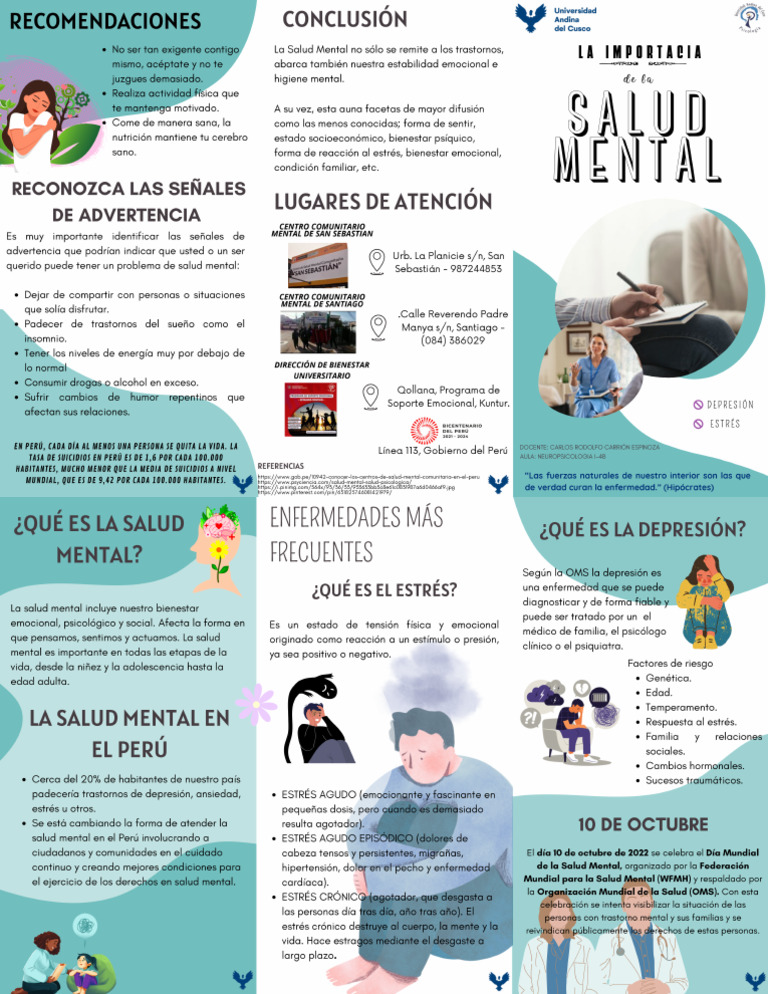 SALUD MENTAL TRIPTICO | PDF
