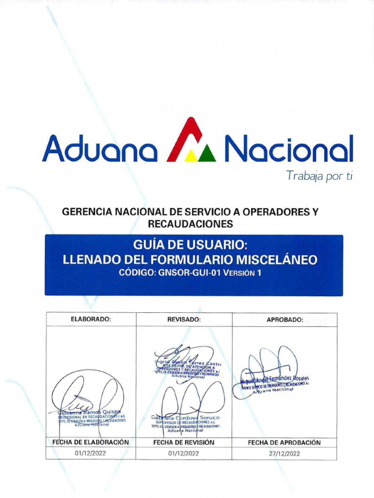 Guia de Usuario Llenado Del Formulario Miscelaneo | PDF