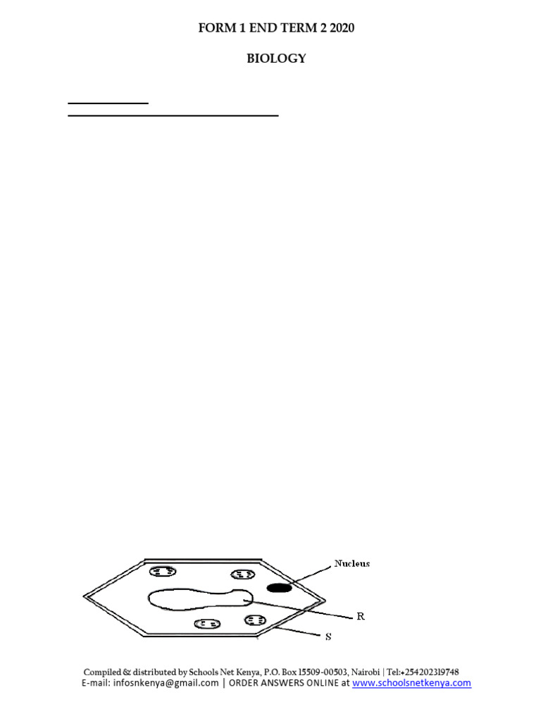 Secondary Biology Form 1 End Term 2 2020 | PDF | Biology | Microscope