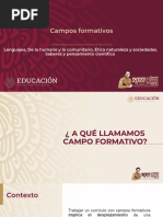 Mapa Mental CAMPOS FORMATIVOS | PDF | Aprendizaje | Conocimiento