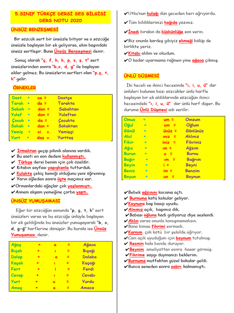 5.sinif Turkce Dersi Ses Bilgisi Ders Notu | PDF