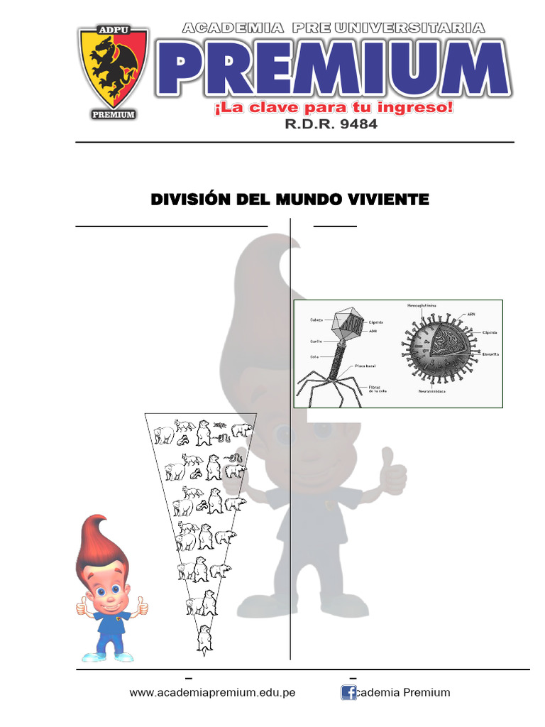 Tema 03 de Biologia - Division Mundo Viviente-Monera-Protista | PDF ...