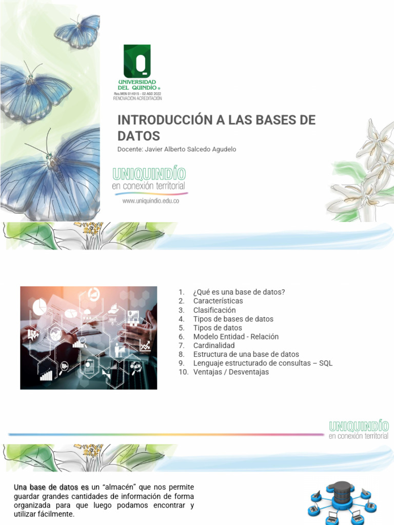 Introducción a las Bases de Datos | PDF | Bases de datos | SQL