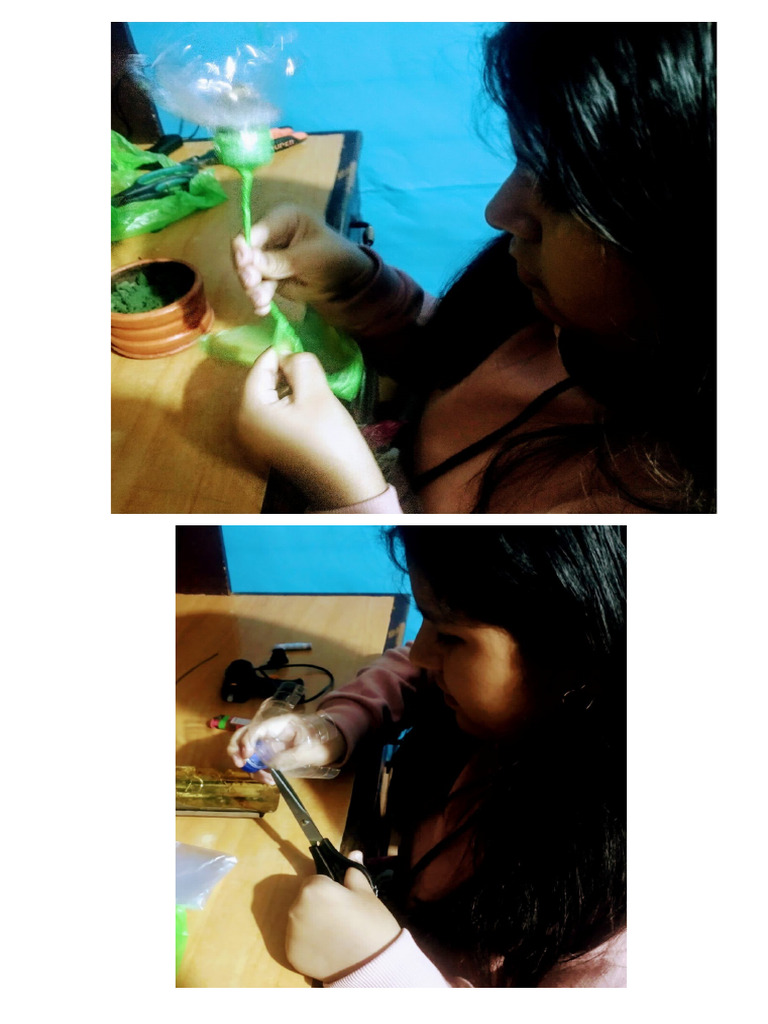 Imprimir MicAELA | PDF