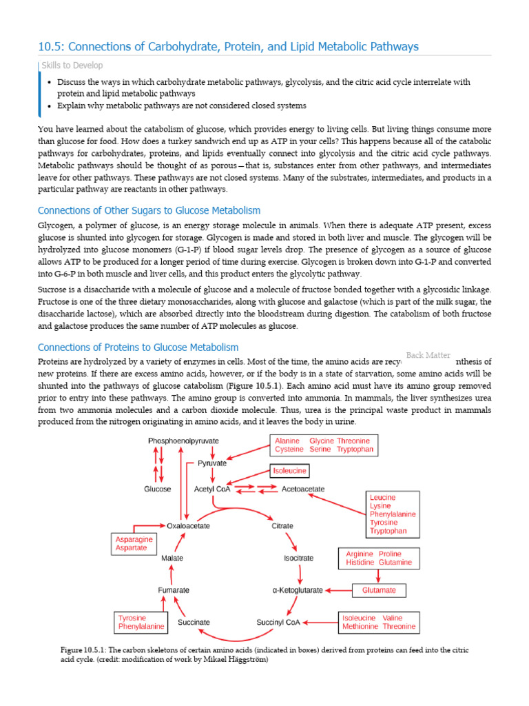 10.5 - Connections of Carbohydrate, Protein, and Lipid Metabolic Pathways - Chemistry LibreTexts ...