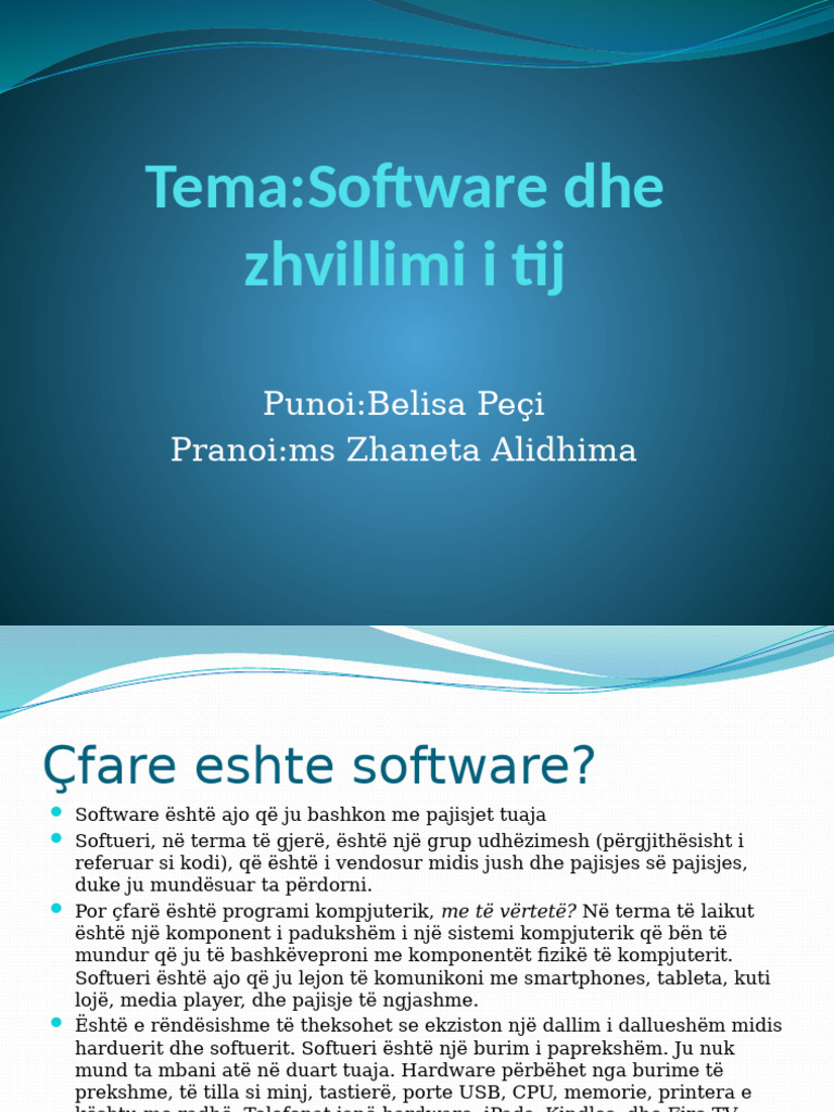 Software Dhe Zhvillimi I Tij | PDF