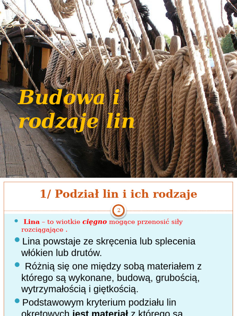 01 Rodzaje I Budowa Lin | PDF