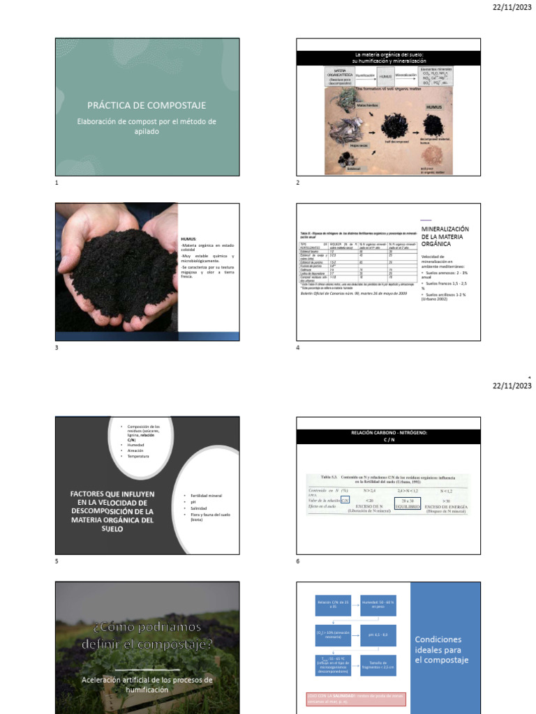 Práctica Compostaje | PDF | Compost | Suelo
